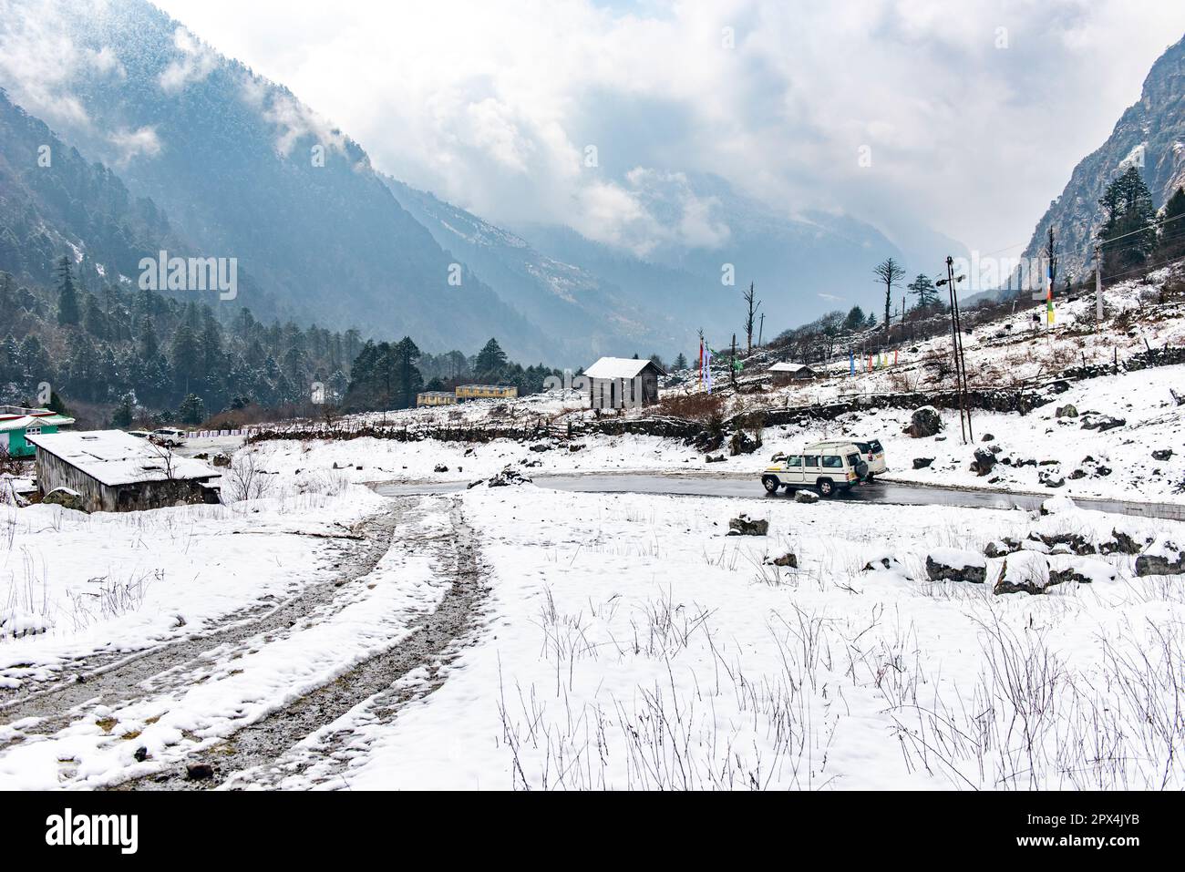Yumthang Valley, North Sikkim is a paradise on earth, which is full of ...