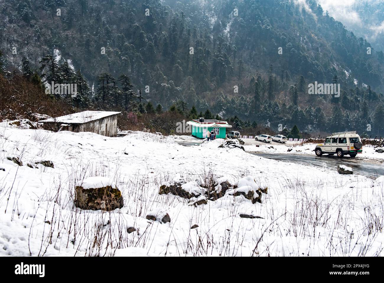 Yumthang Valley, North Sikkim is a paradise on earth, which is full of ...