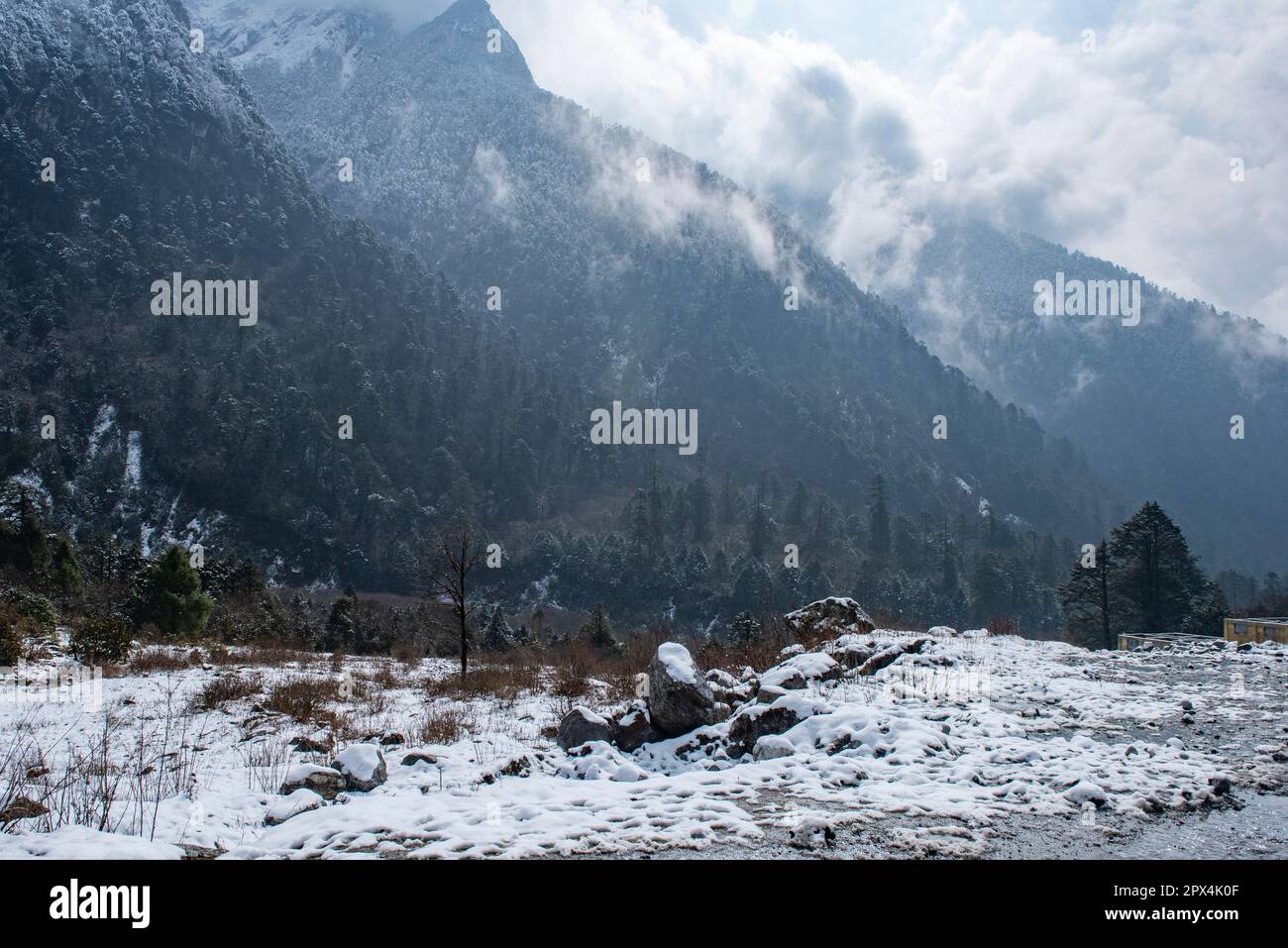 Yumthang Valley, North Sikkim is a paradise on earth, which is full of ...