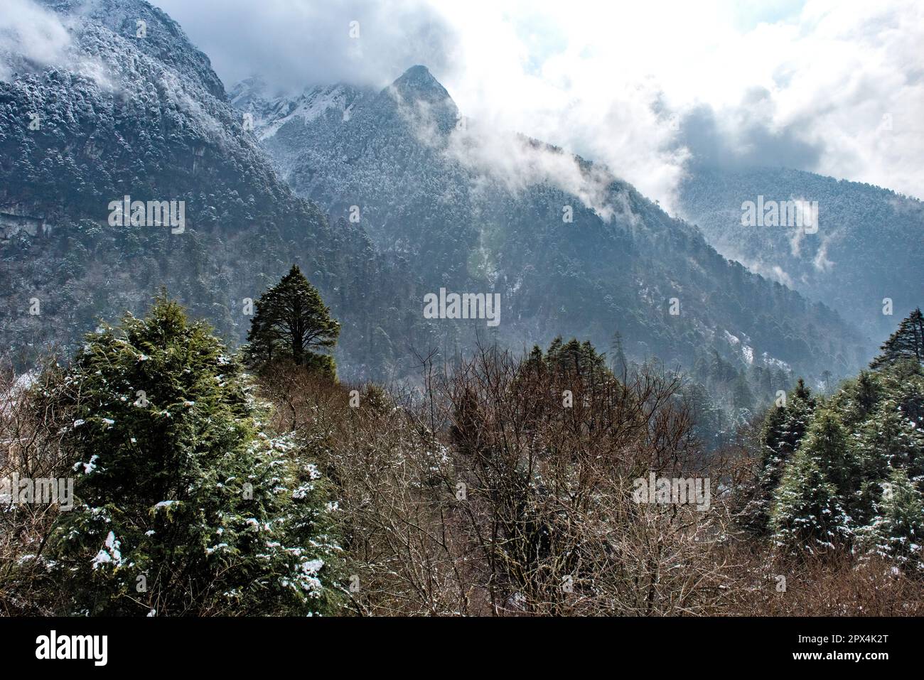 Yumthang Valley, North Sikkim is a paradise on earth, which is full of ...