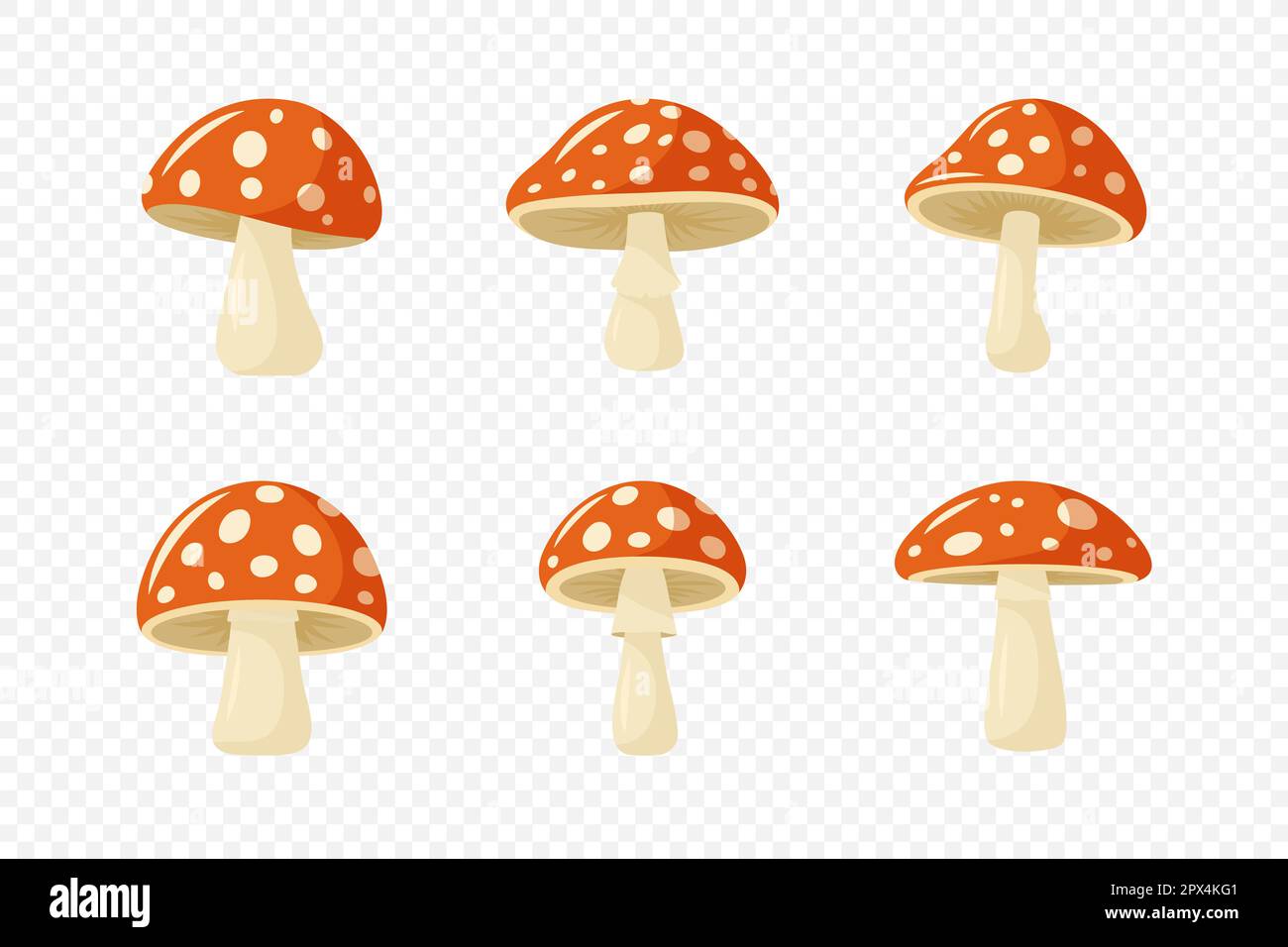 Vector Hand Drawn Cartoon Flat Mushroom Icon Set. Amanita Muscaria, Fly ...