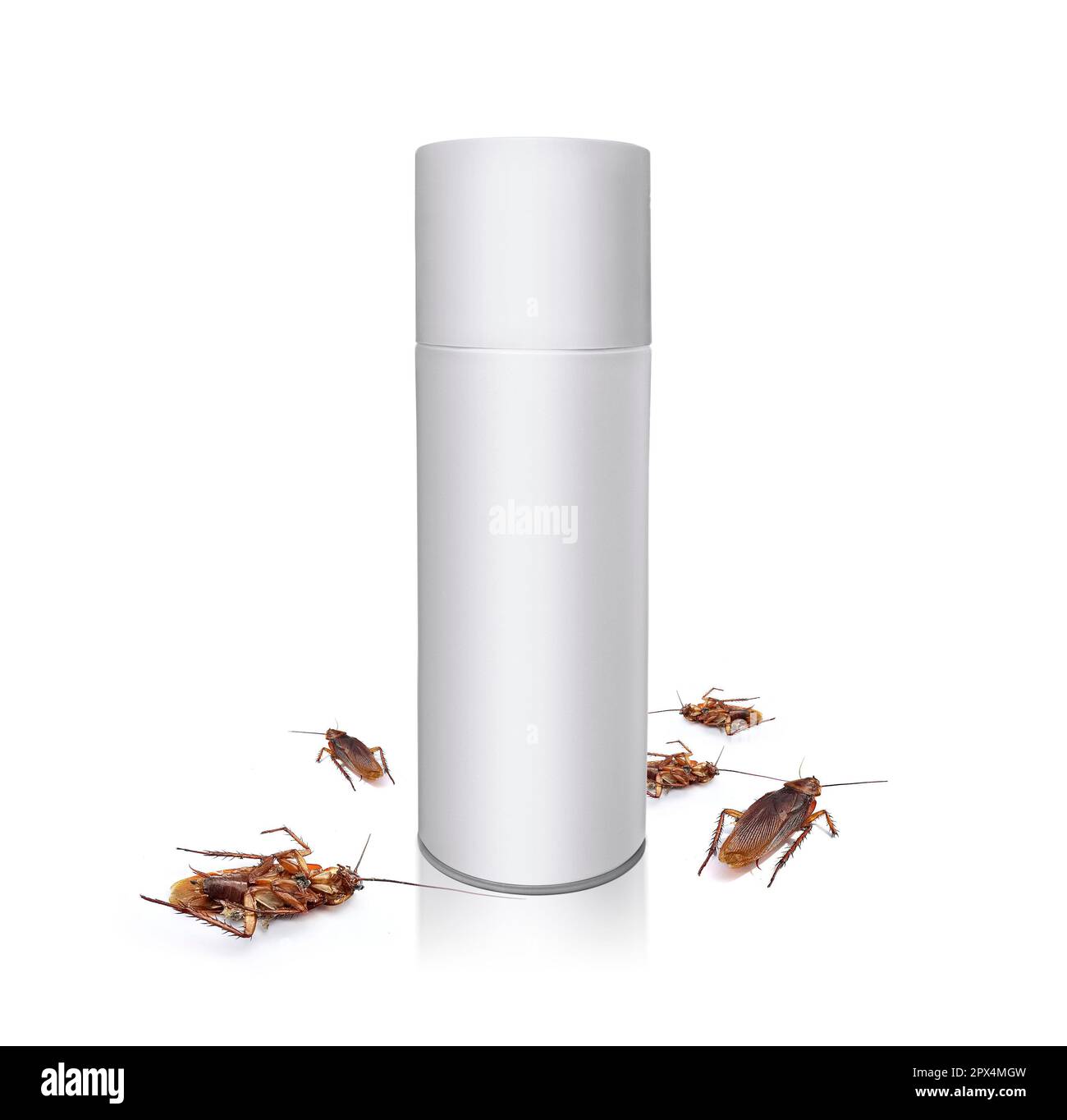 Spray, insecticide and cockroach isolated on white background Stock ...