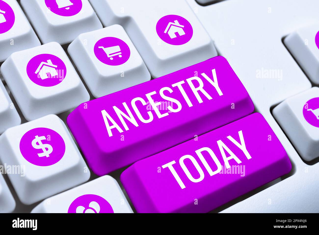 Sign displaying Ancestry, Word for the history or developmental process ...