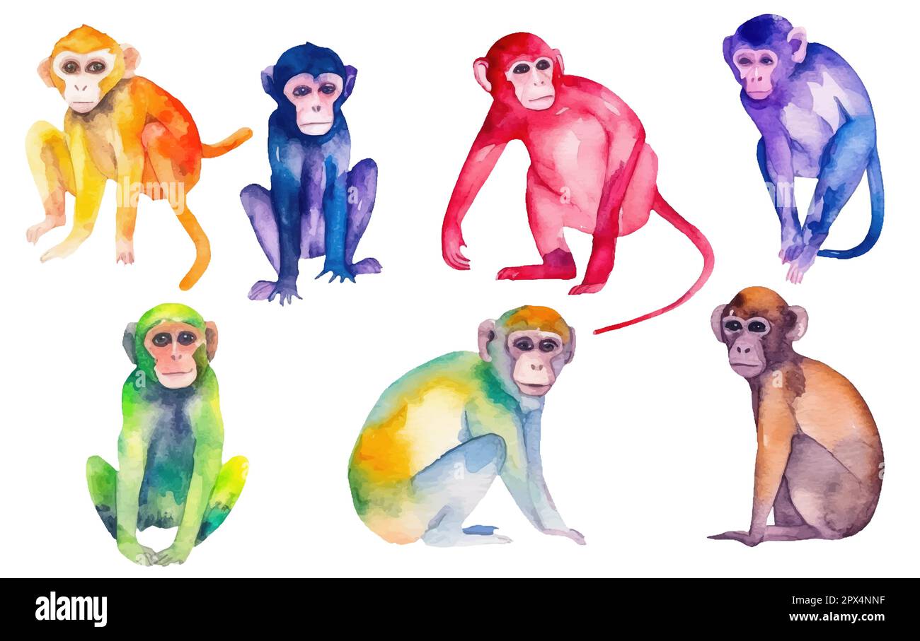 watercolor set illustration of wild monkey in jungle isolated on white background Stock Vector ...