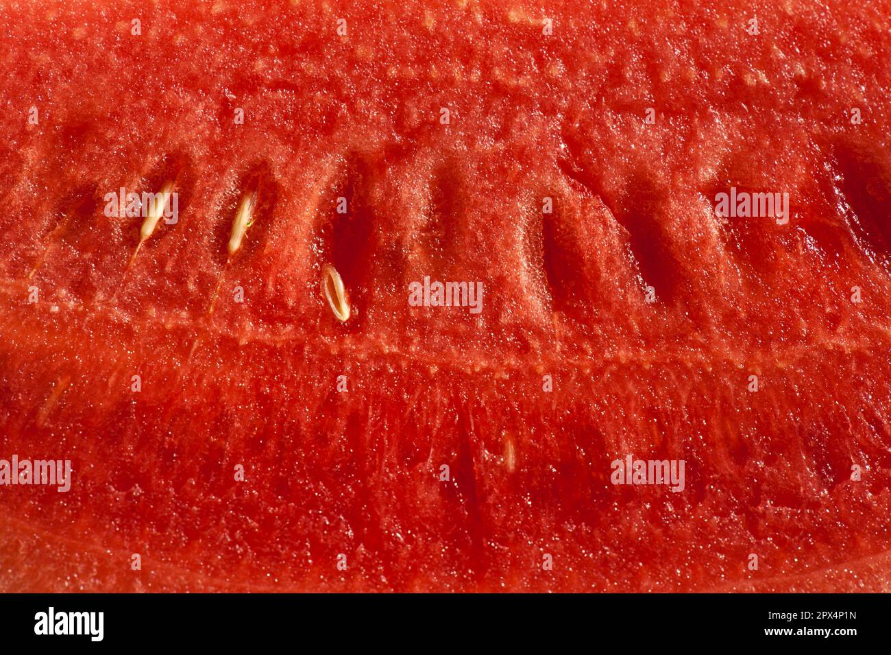 Extreme close up of red and juicy flesh of watermelon with seeds Stock ...