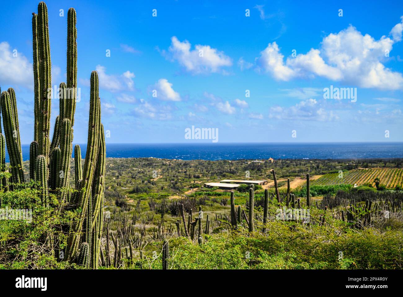 A panorama over the island of Aruba in the Caribbean to Chapel Alto ...