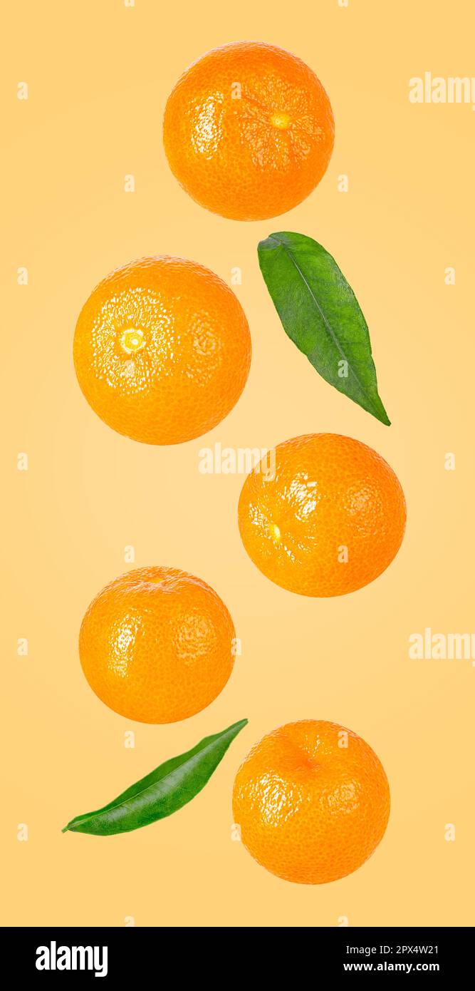 Isolated flying fruit. SFive pieces of falling ginger root on yellow ...