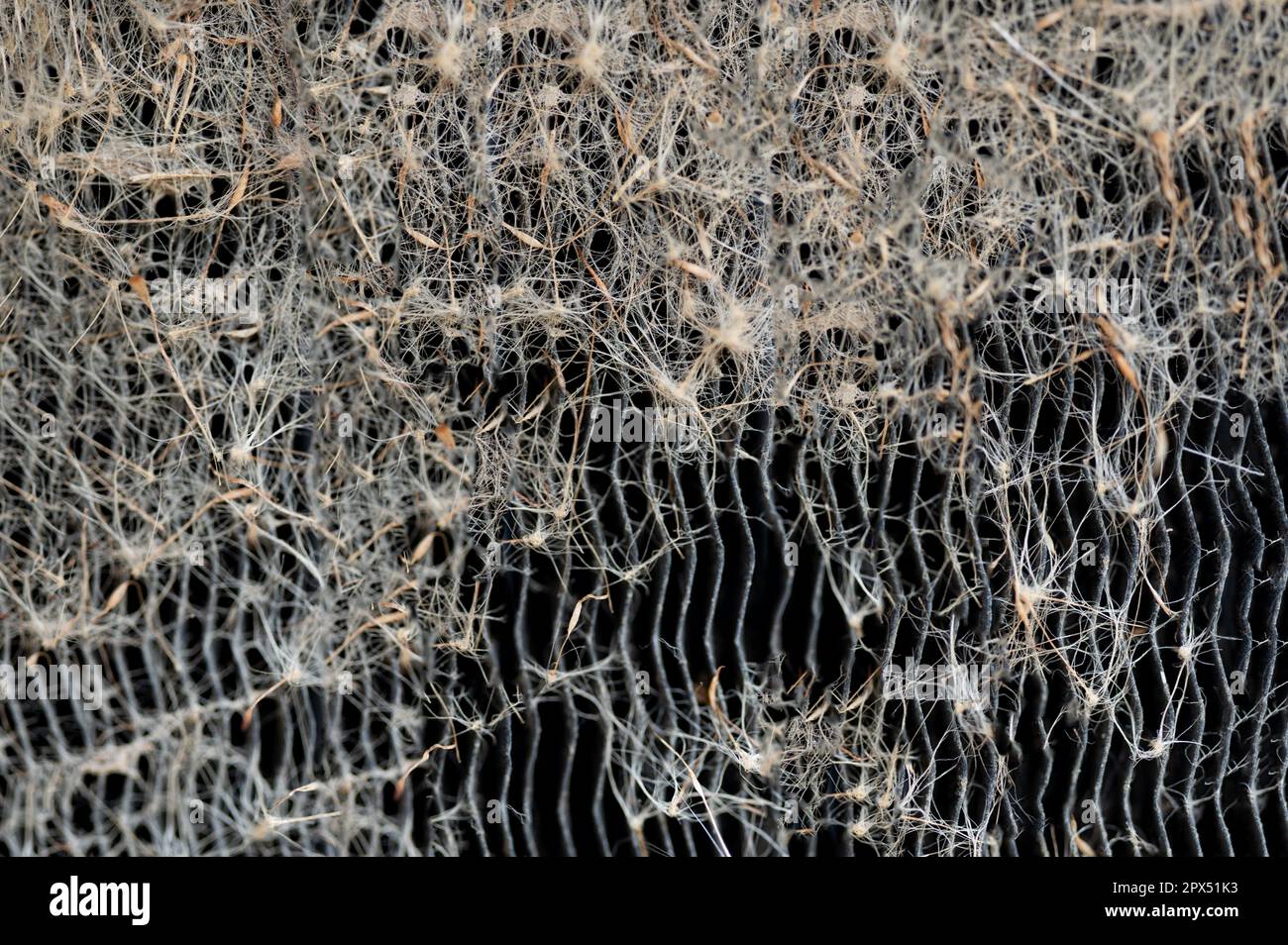 Macro of seed pods and dust collecting on the heat exchanger coils of ...