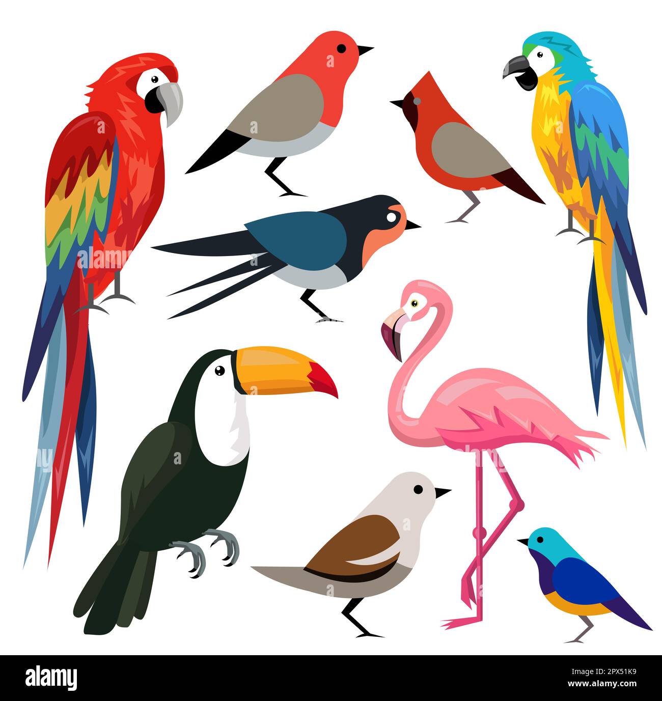 Collection of colored Bird vector Stock Vector Image & Art - Alamy
