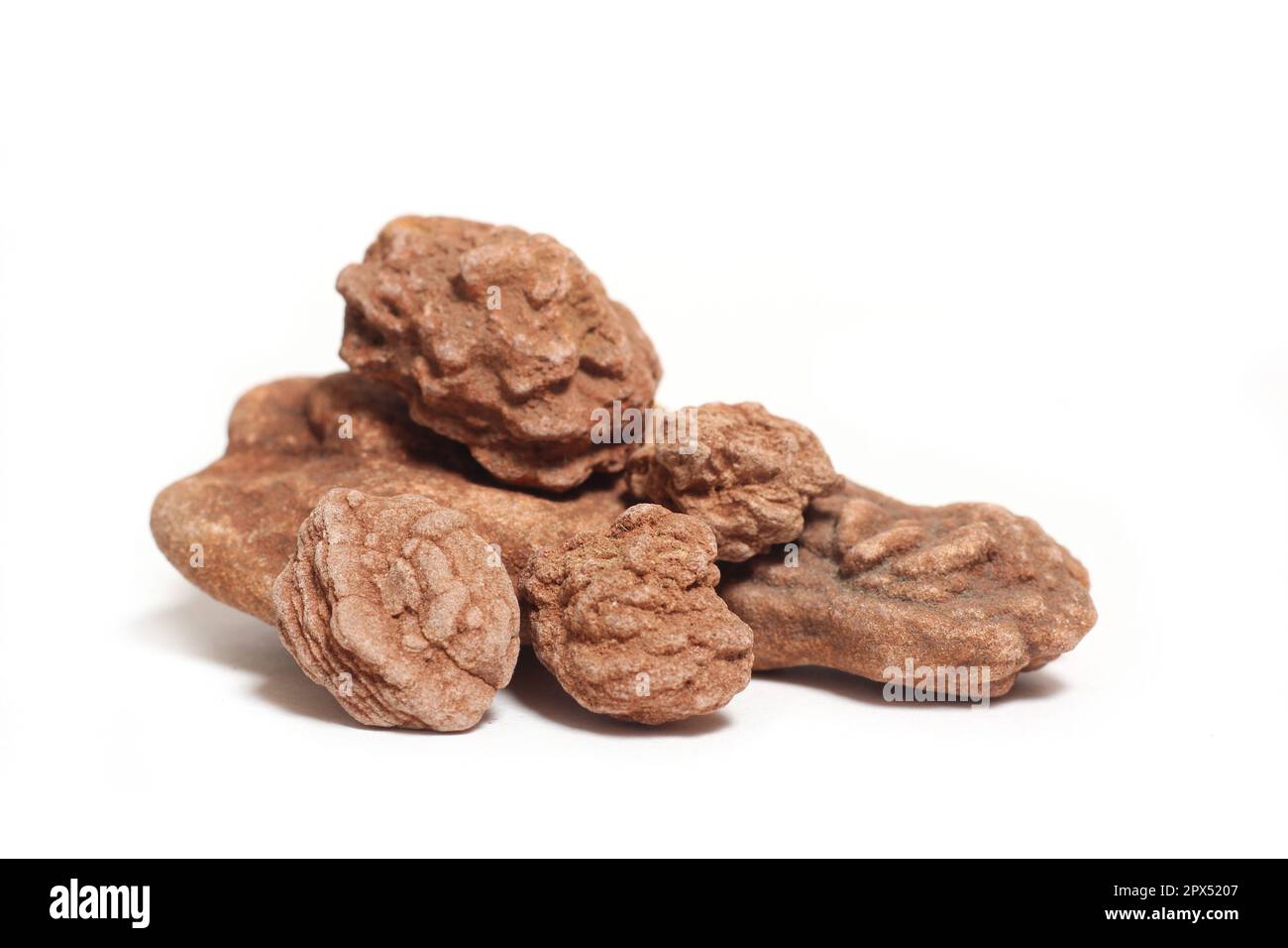 Desert Rose Stones From Oklahoma Isolated on White Stock Photo - Alamy