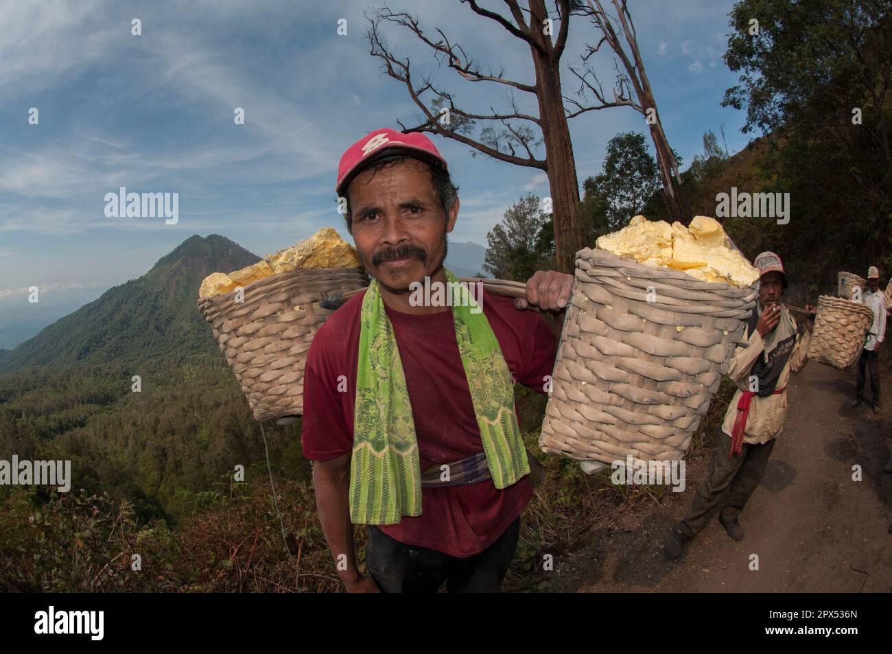 Local man carrying blocks of sulphur in baskets down from crater with ...