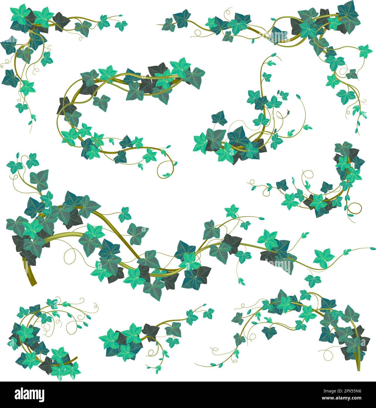 Climber plant flower Stock Vector Images - Alamy