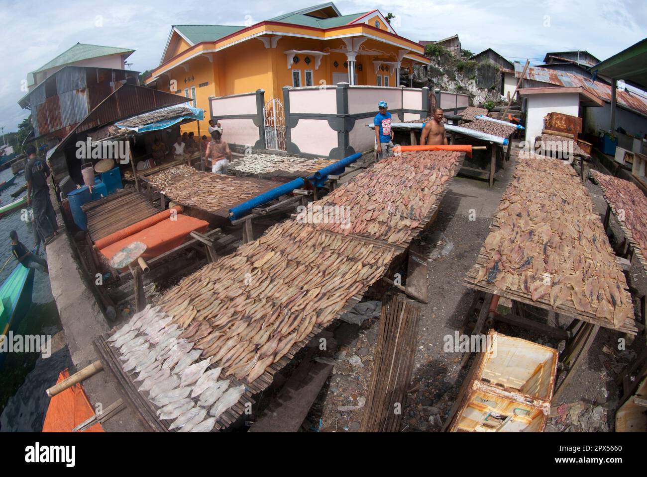 Fish drying at fIsh market, Banda Neira, Moluccas, Banda Sea, Indonesia ...