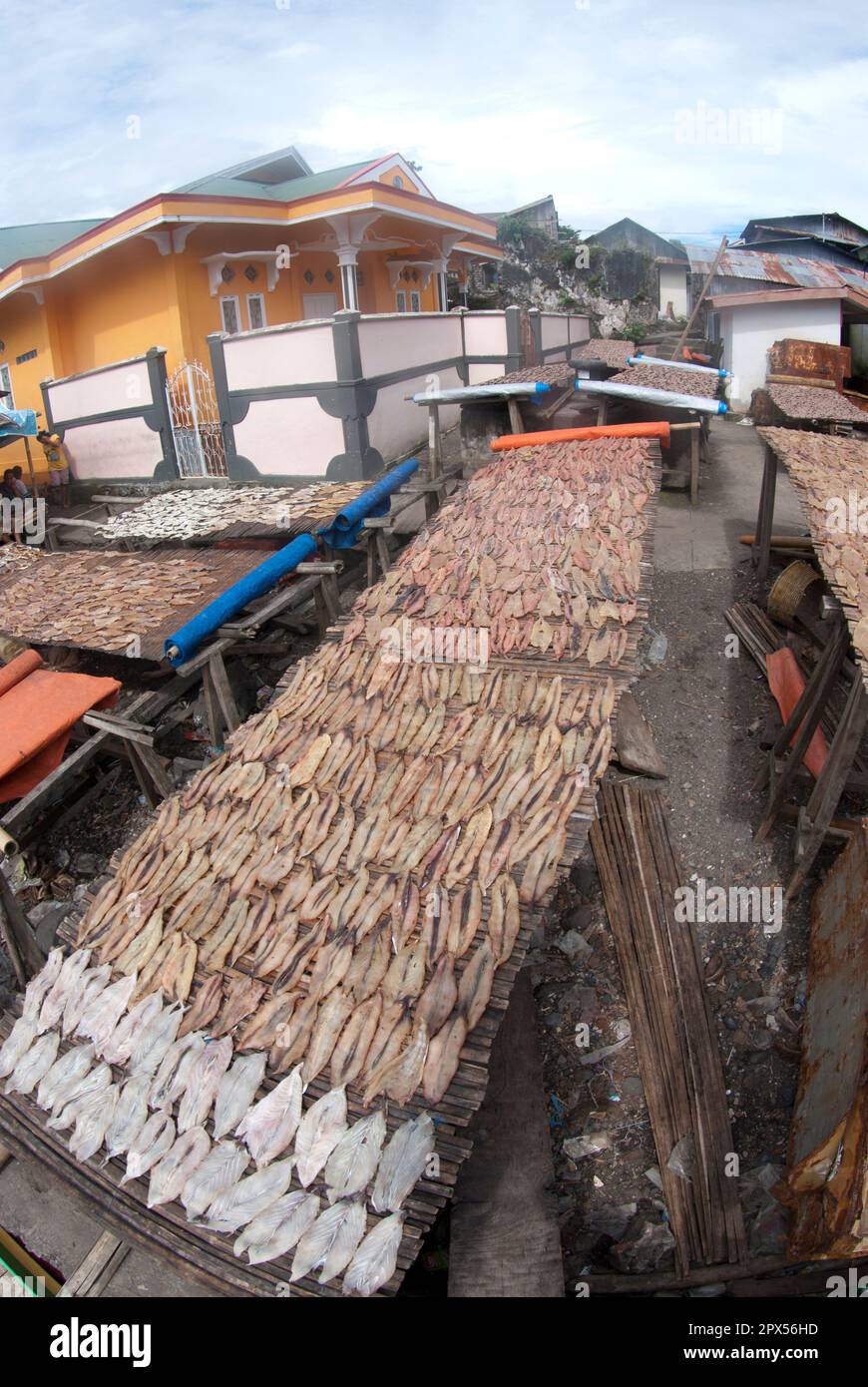 Fish drying at fIsh market, Banda Neira, Moluccas, Banda Sea, Indonesia ...