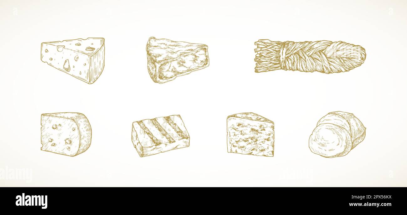Hand Drawn Sketch Cheese Pieces Set. Engraving Style Roquefort, Gouda ...