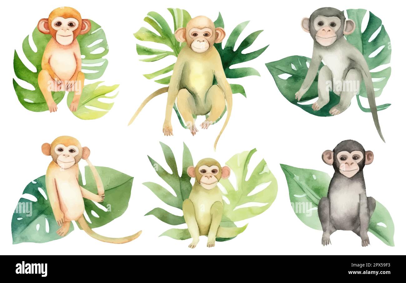 watercolor set illustration of wild monkey in jungle isolated on white ...