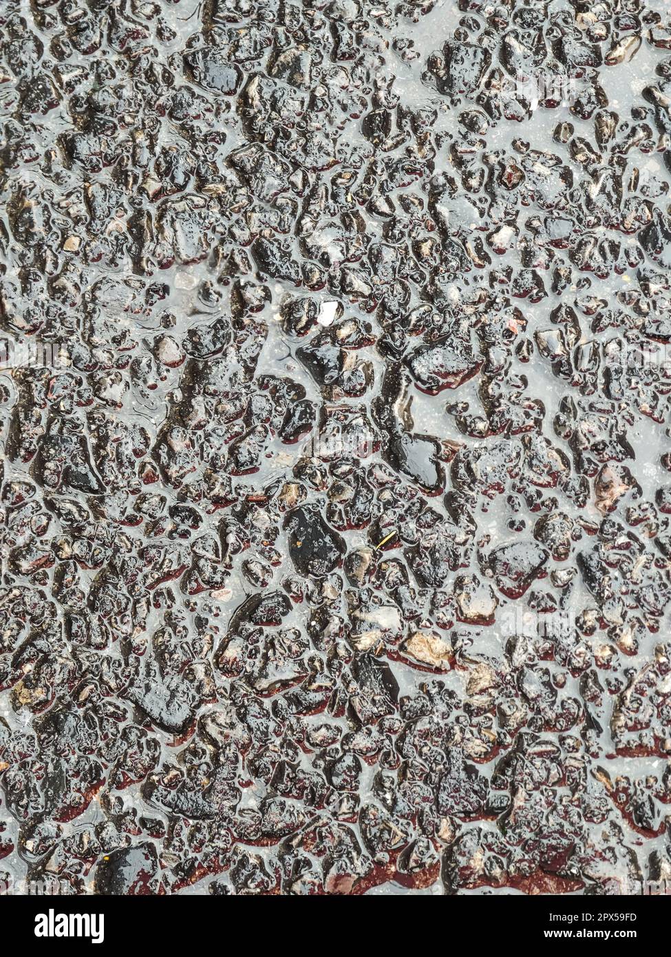 wet asphalt rough bitumen after rain tarmac road texture pavement ...