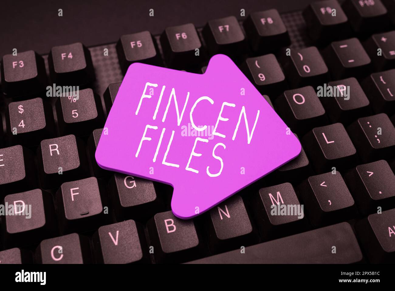 Inspiration showing sign Fincen Files, Word Written on Transactions in ...