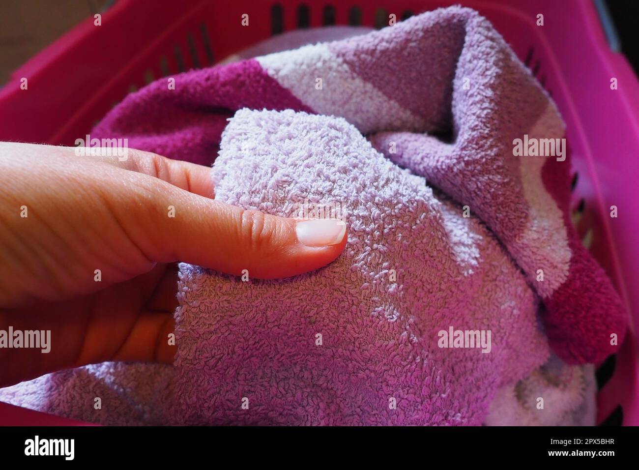 Tissue washing machine hi-res stock photography and images - Alamy