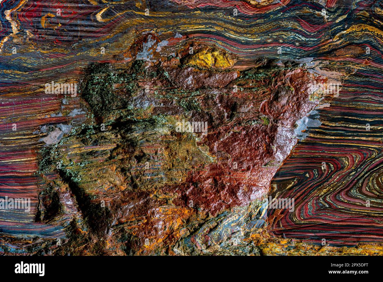 The colorful pattern of a cut and smooth polished tiger iron in a close ...