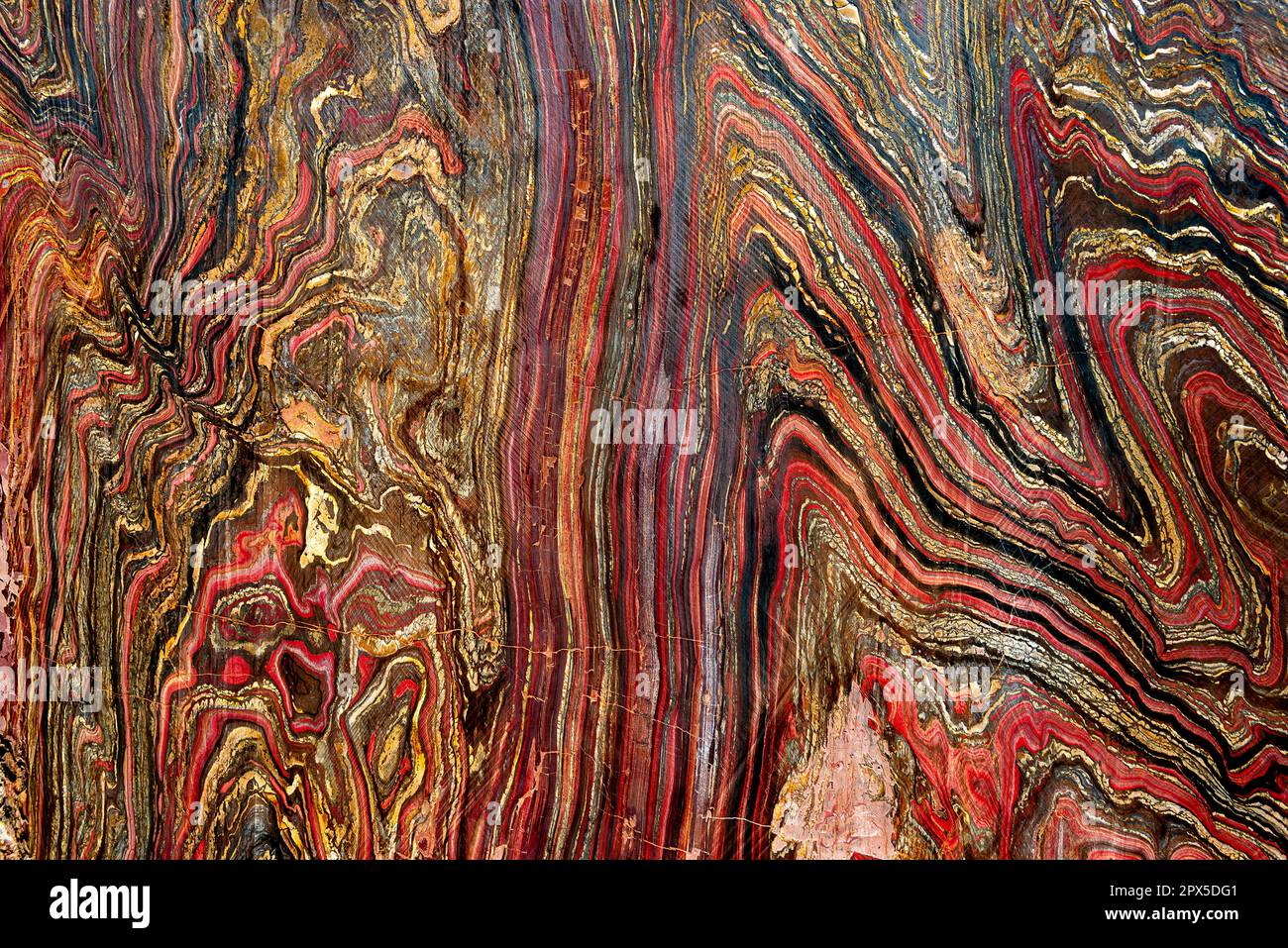 The colorful pattern of a cut and smooth polished tiger iron in a close ...