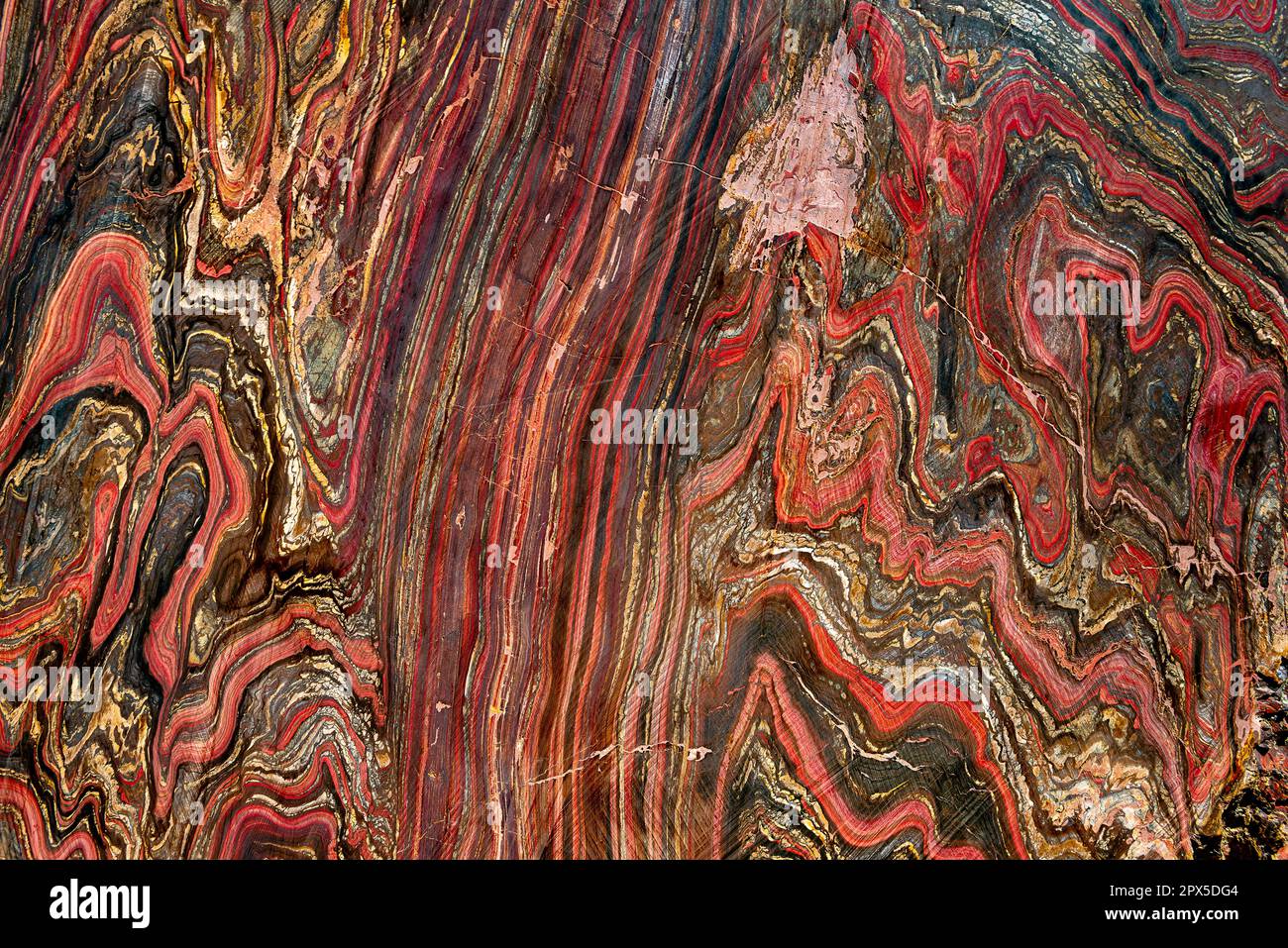 The colorful pattern of a cut and smooth polished tiger iron in a close ...