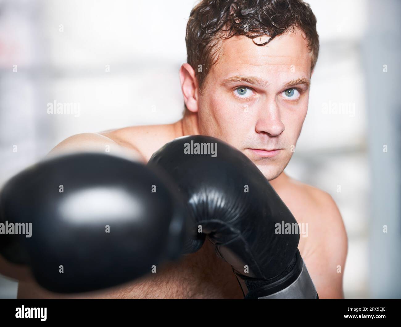 Professional Boxer Punching