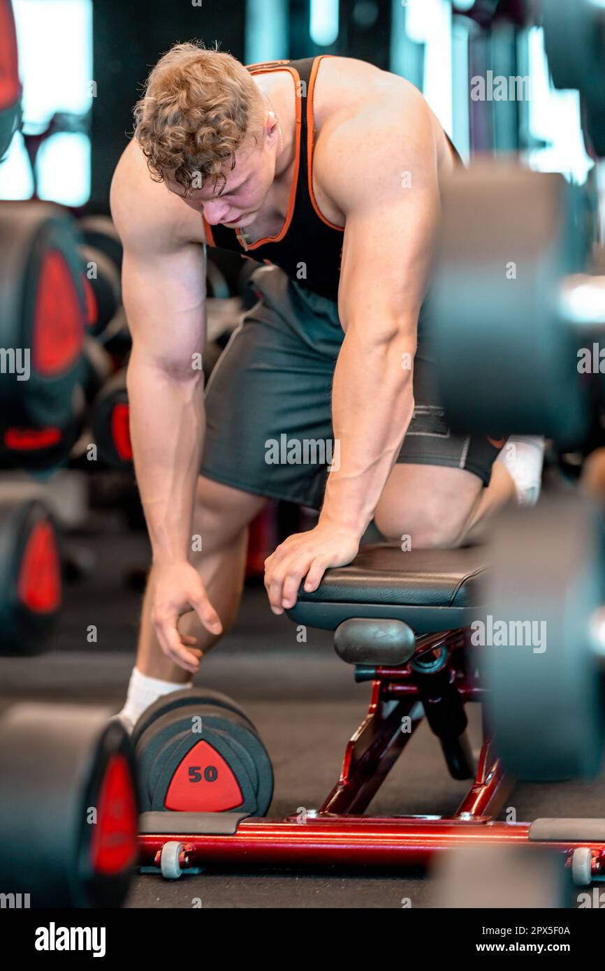 one-handed dumbbell pull-ups in a forward bend on a bench. High quality ...