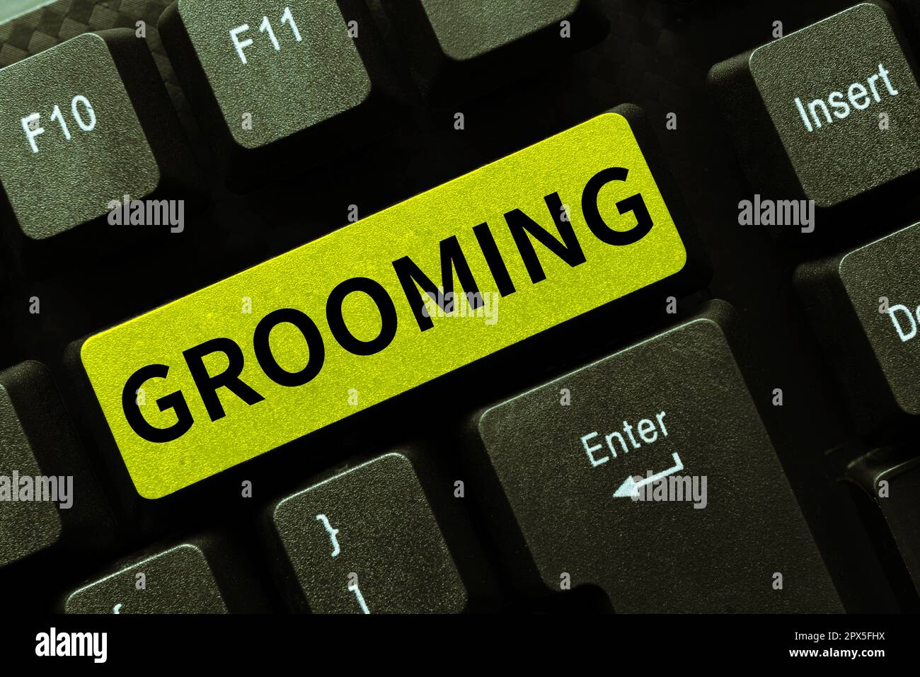 Hand writing sign Grooming, Business idea hygienic care and enhancing ...