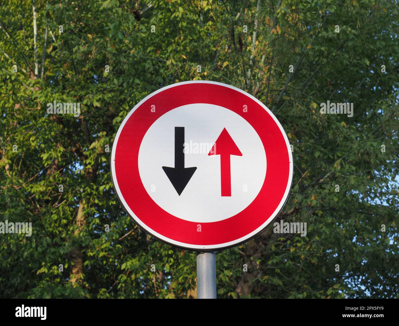 two ways traffic sign with black and red arrow over greenery Stock ...