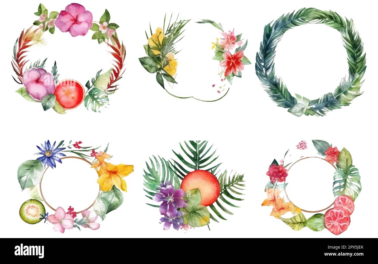 watercolor set vector illustration of tropical border flowers isolated ...