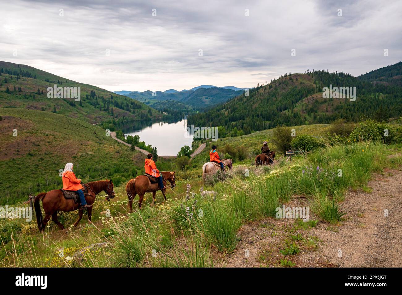 Four horses with riders in orange rain jackets walk a trail on Sun ...