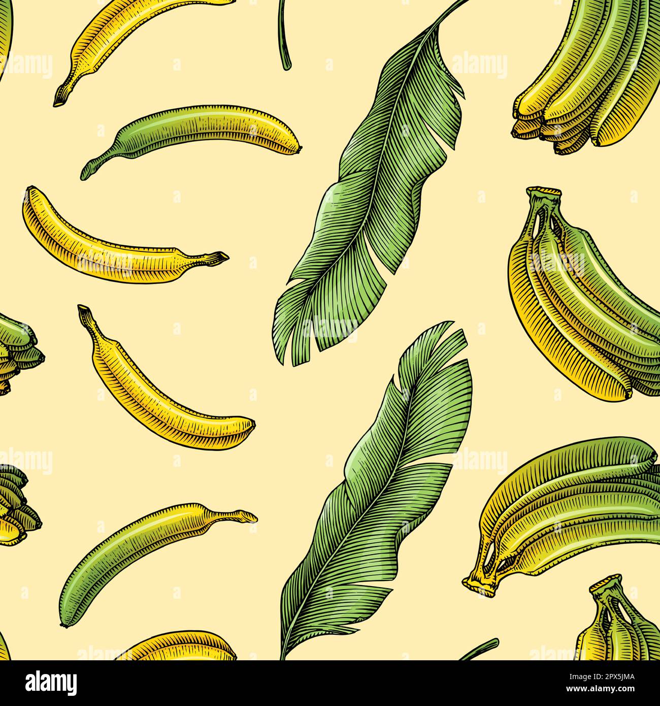 Banana fruit seamless pattern. Hand drawn with ink in vintage style ...