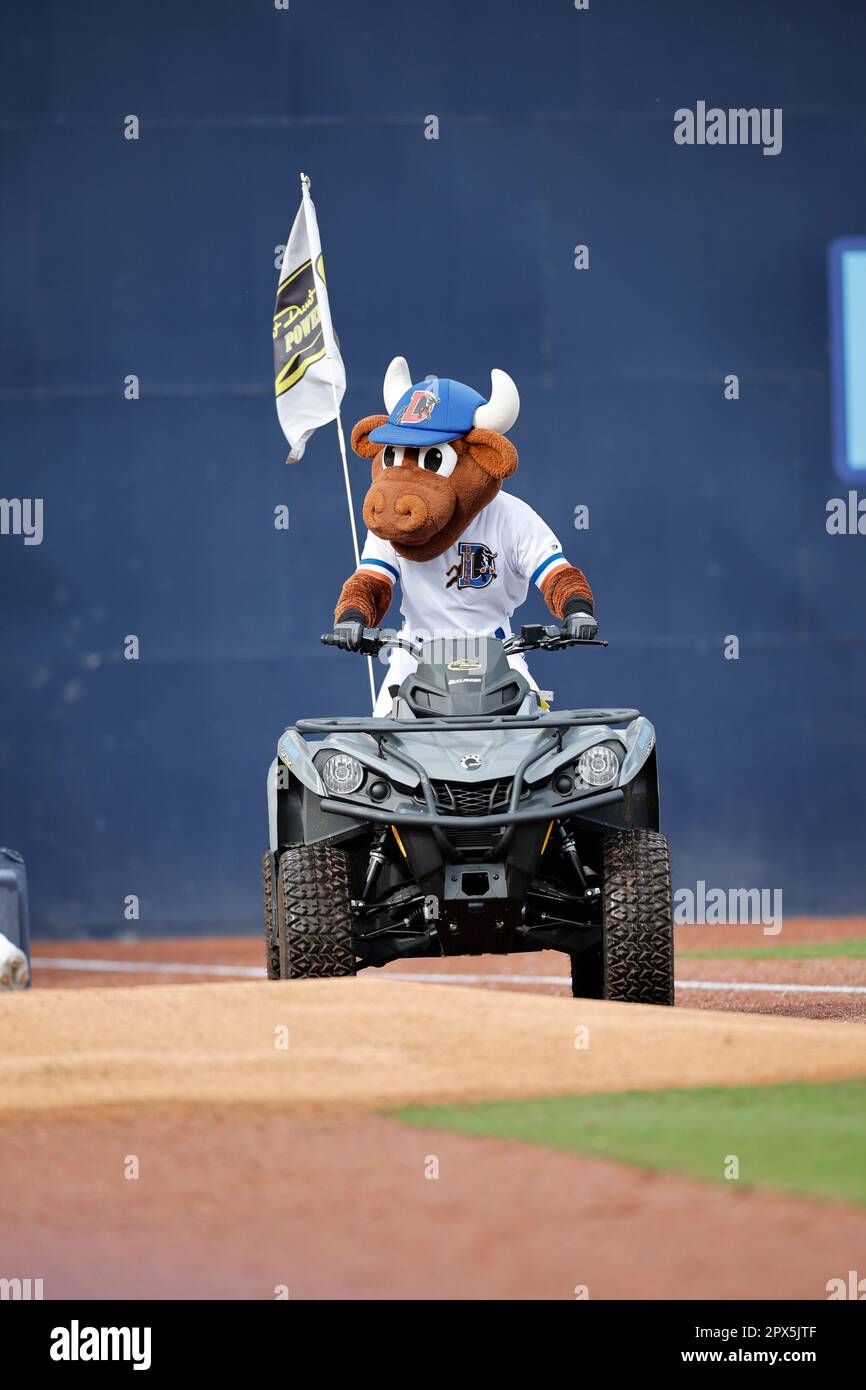 Durham, NC: Durham Bulls mascot Wool E. Bull entertains the fans during ...