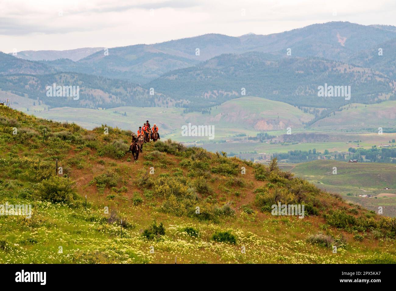 Women in orange rain coats ride horses along a trail over a ridge on ...