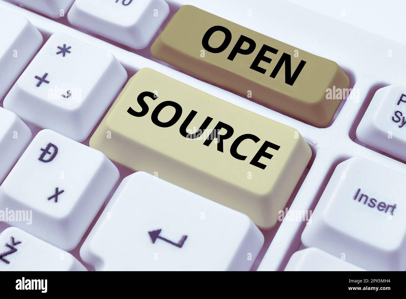 Text caption presenting Open Source, Business overview denoting software which original source ...