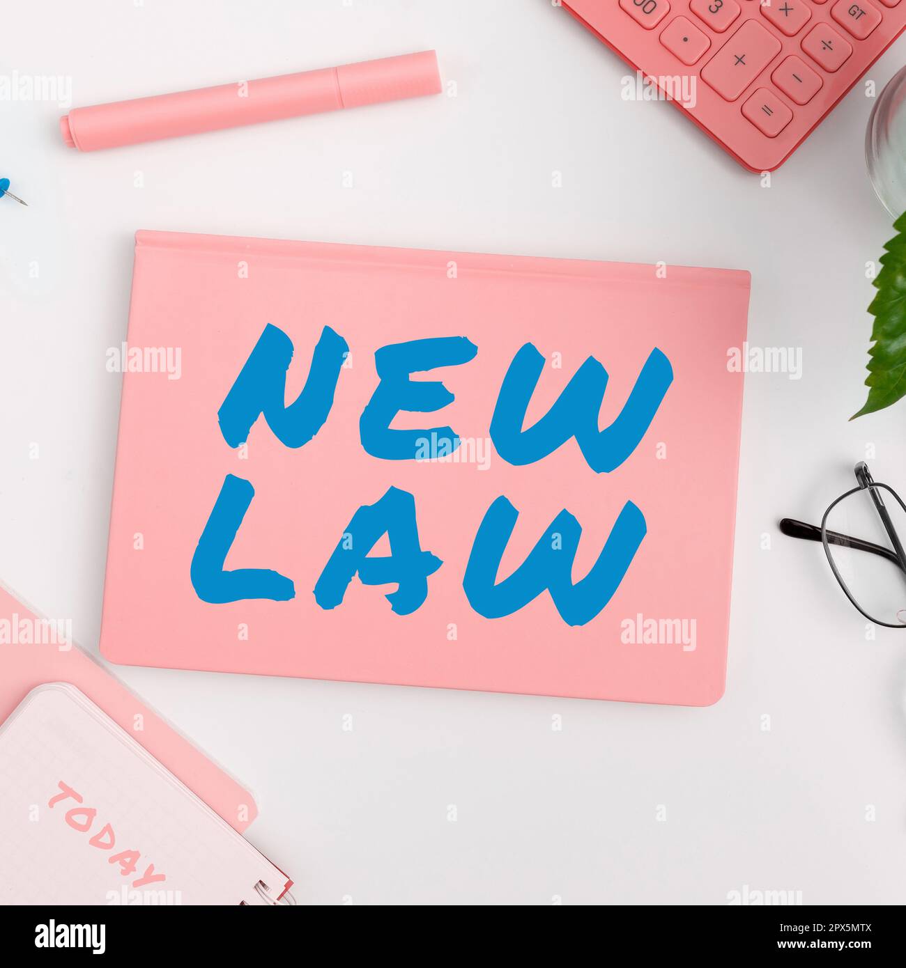 Conceptual caption New Law, Business showcase system of rules that ... Conceptual caption New Law, Business showcase system of rules that ...