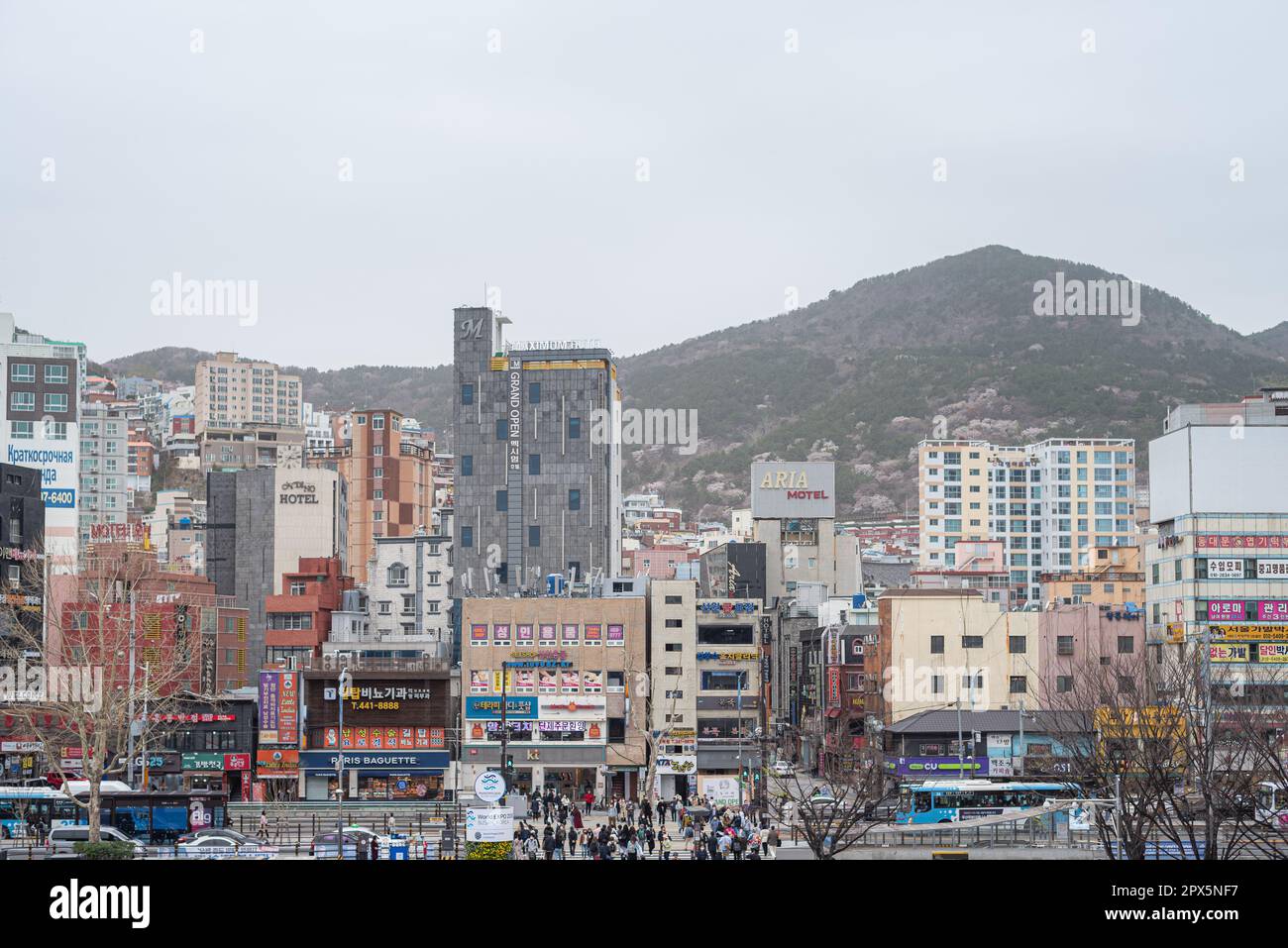 Busan Business building district near Busan Train station Stock Photo ...