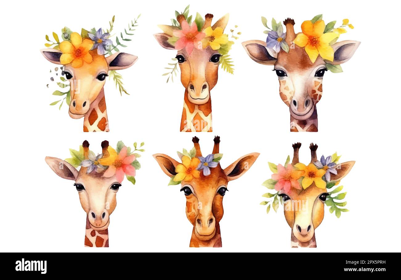 watercolor set illustration of cute giraffe isolated on white ...