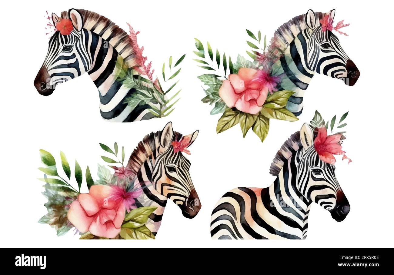 watercolor set illustration of cute zebra isolated on white background ...