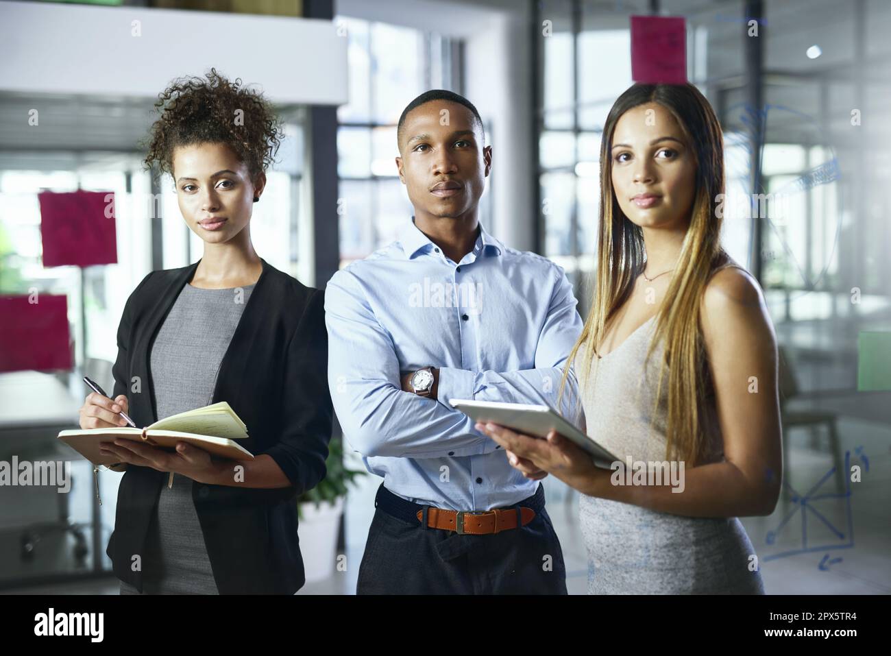 We pride ourselves on our professionalism. Portrait of a group of young ...