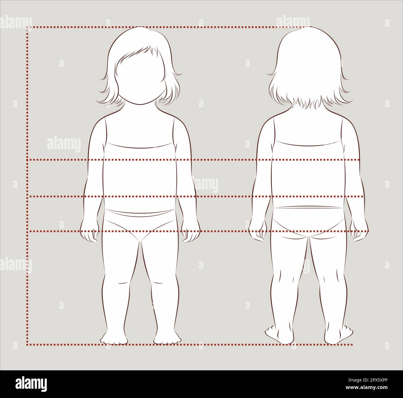 Human leg medical illustration pattern hi-res stock photography and ...