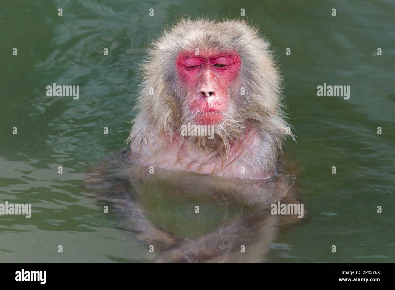 Onsen bathing hi-res stock photography and images - Alamy