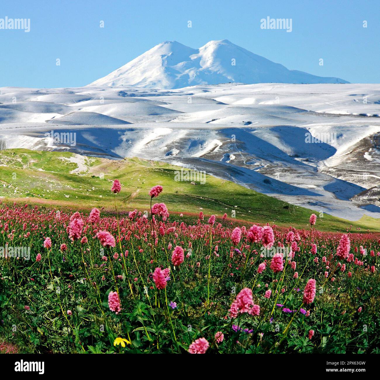 The highest peak in Europe is Mount Elbrus,altitude 5642 meters Stock Photo - Alamy
