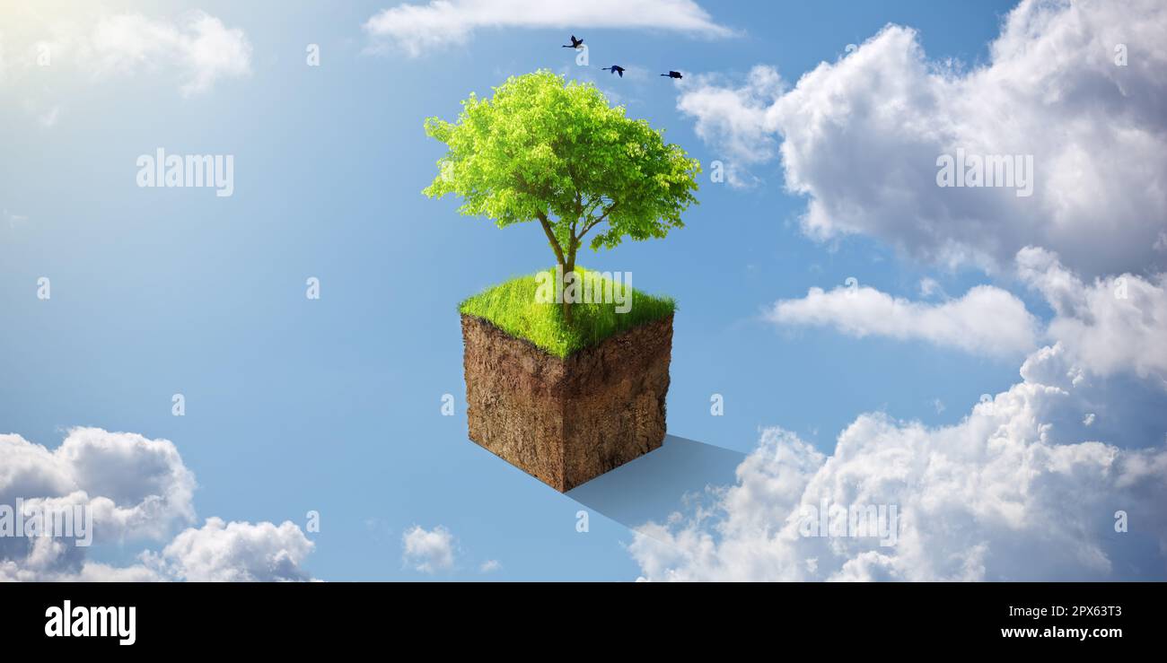 Sustainable, agriculture and eco friendly tree in the sky for earth day ...