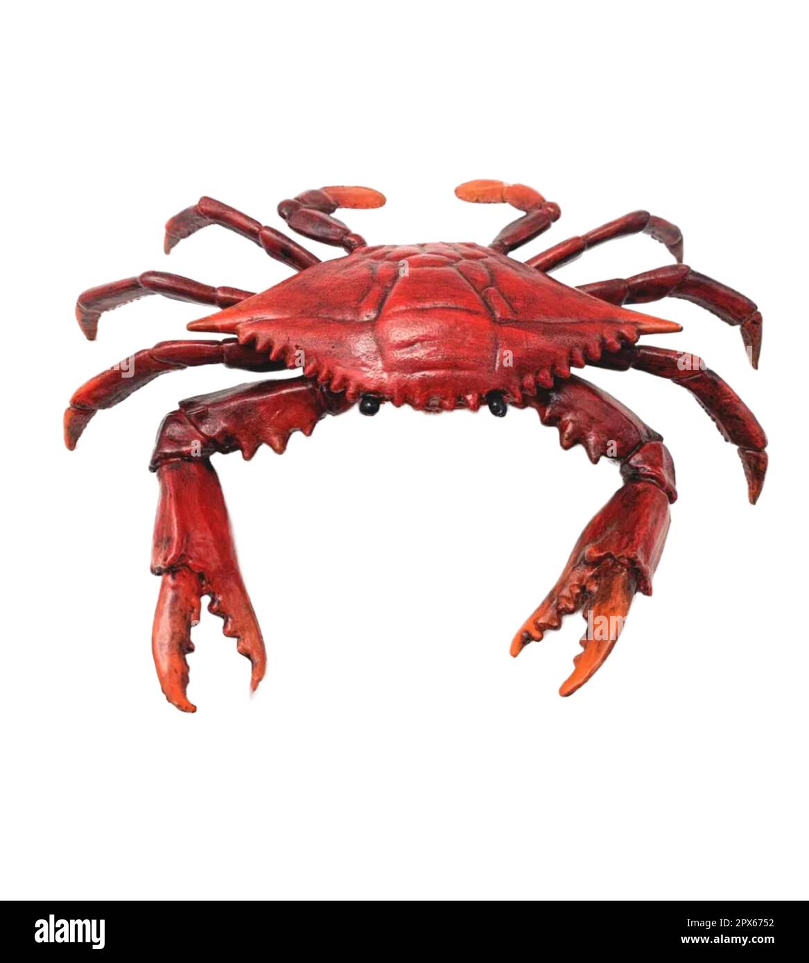 Legs underwater Stock Vector Images - Alamy