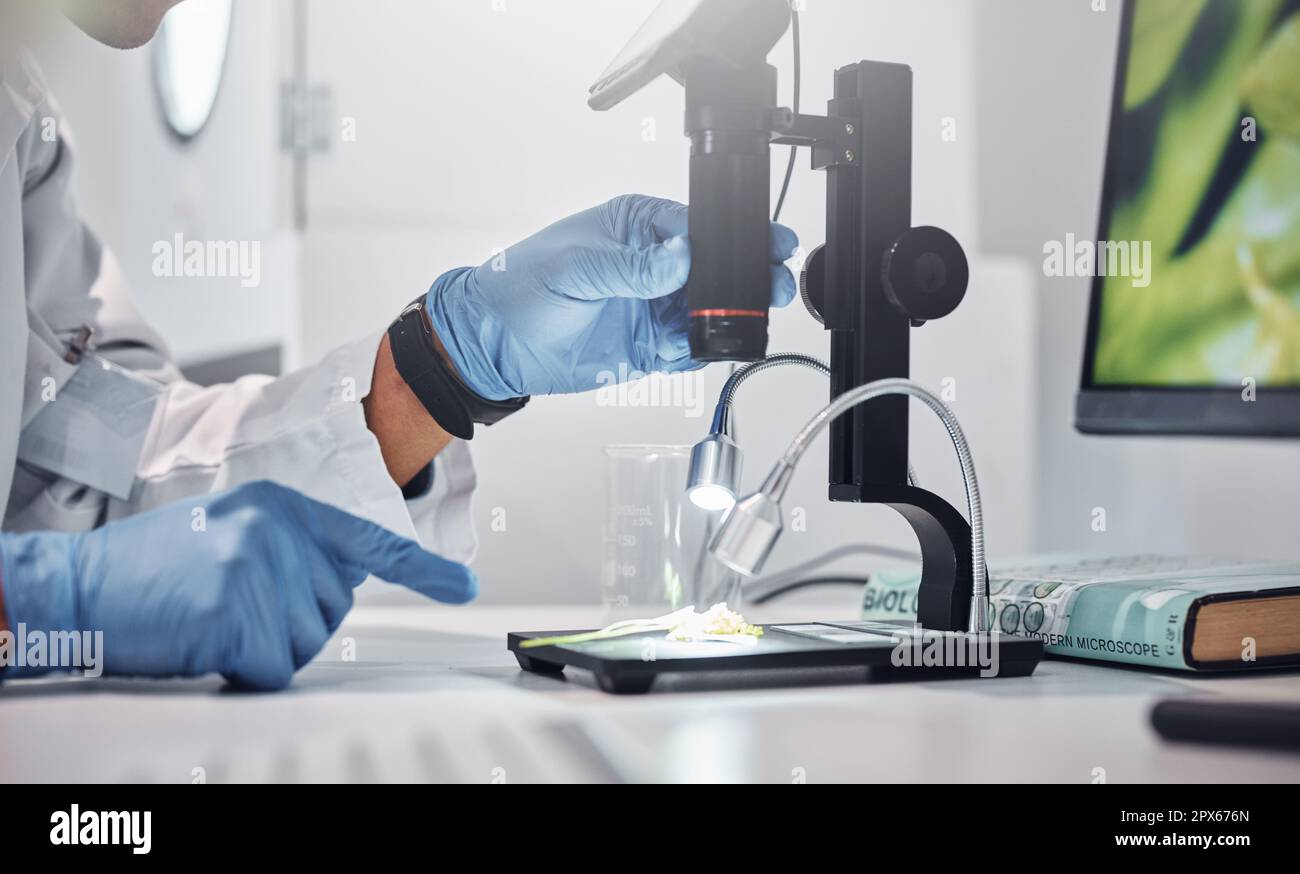 Microscope bacteria growth hi-res stock photography and images - Alamy