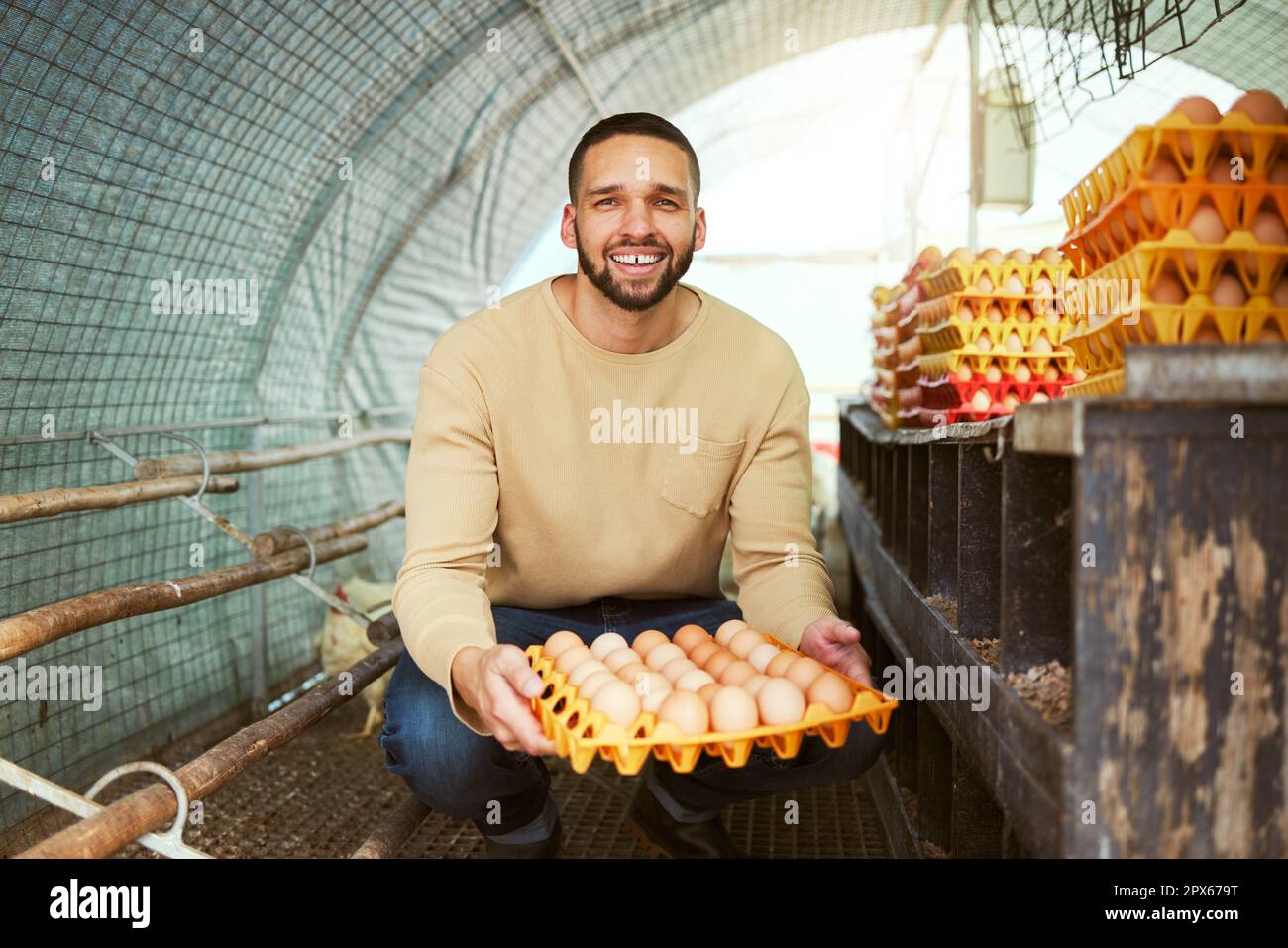 Portrait, chicken farmer and man with eggs at farm in barn or chicken ...