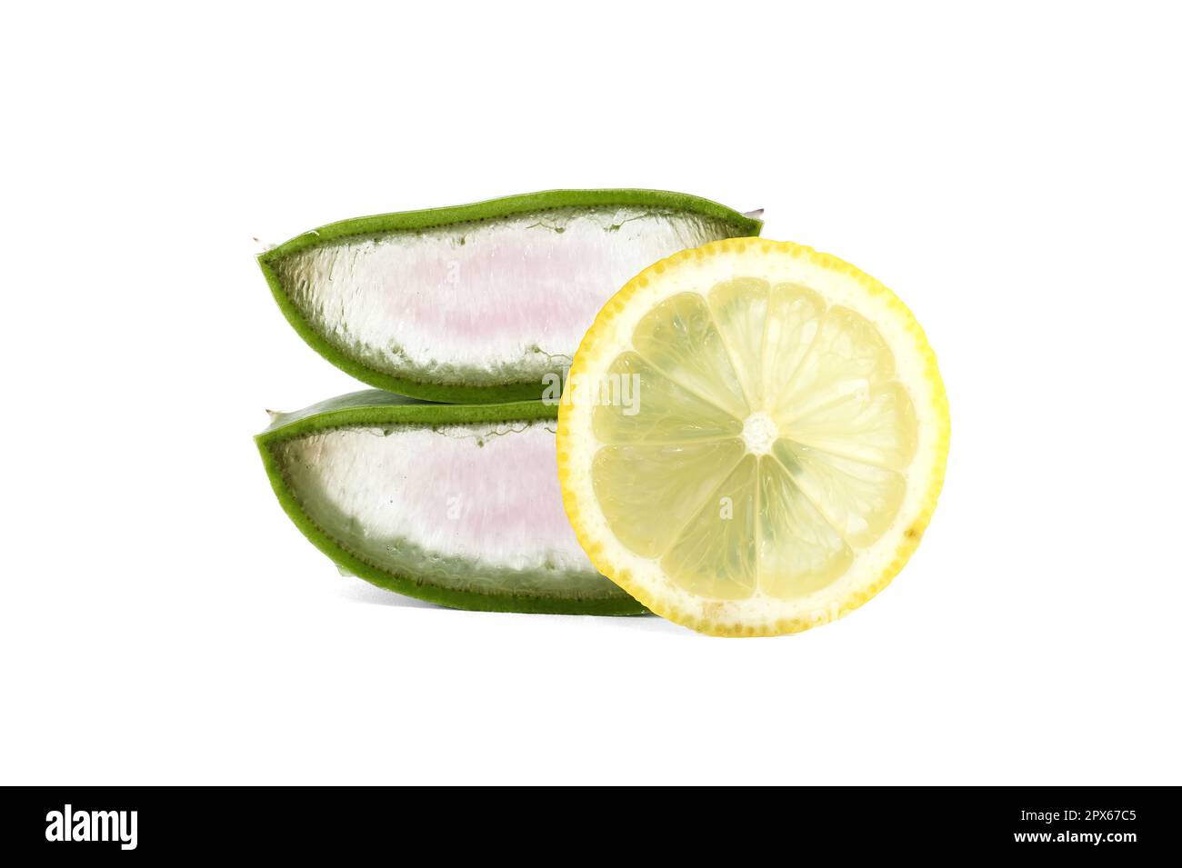 Aloe Vera leaf and lemon slices isolated on white background, natural ...