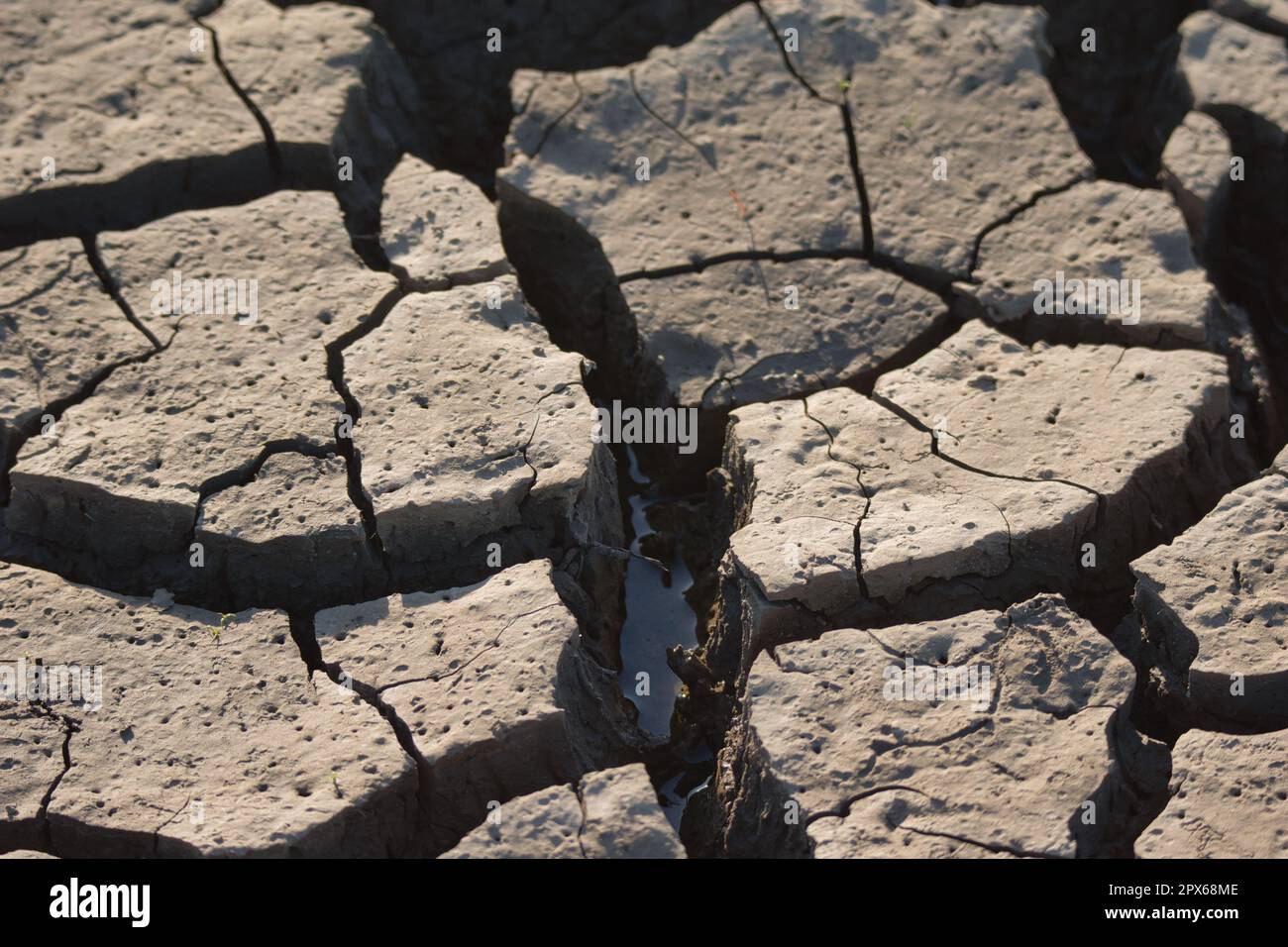 Water in the Cracks of a Dry Lake Bed Stock Photo - Alamy